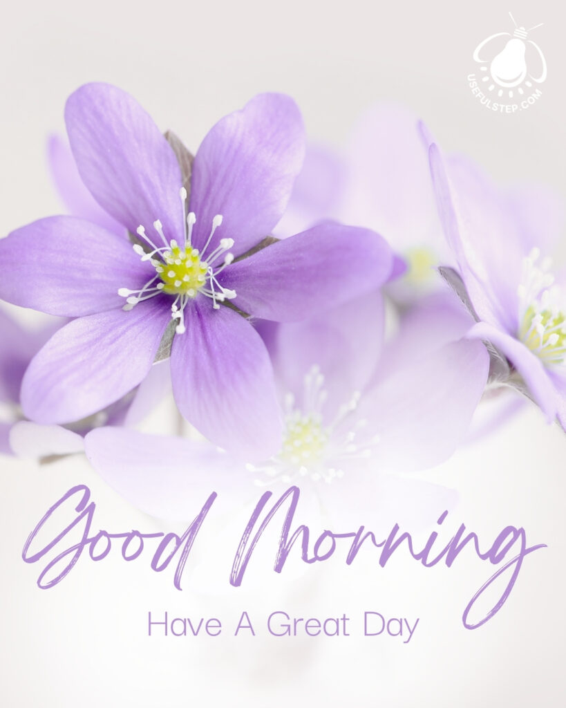 50+ Beautiful Good Morning Images Download Free